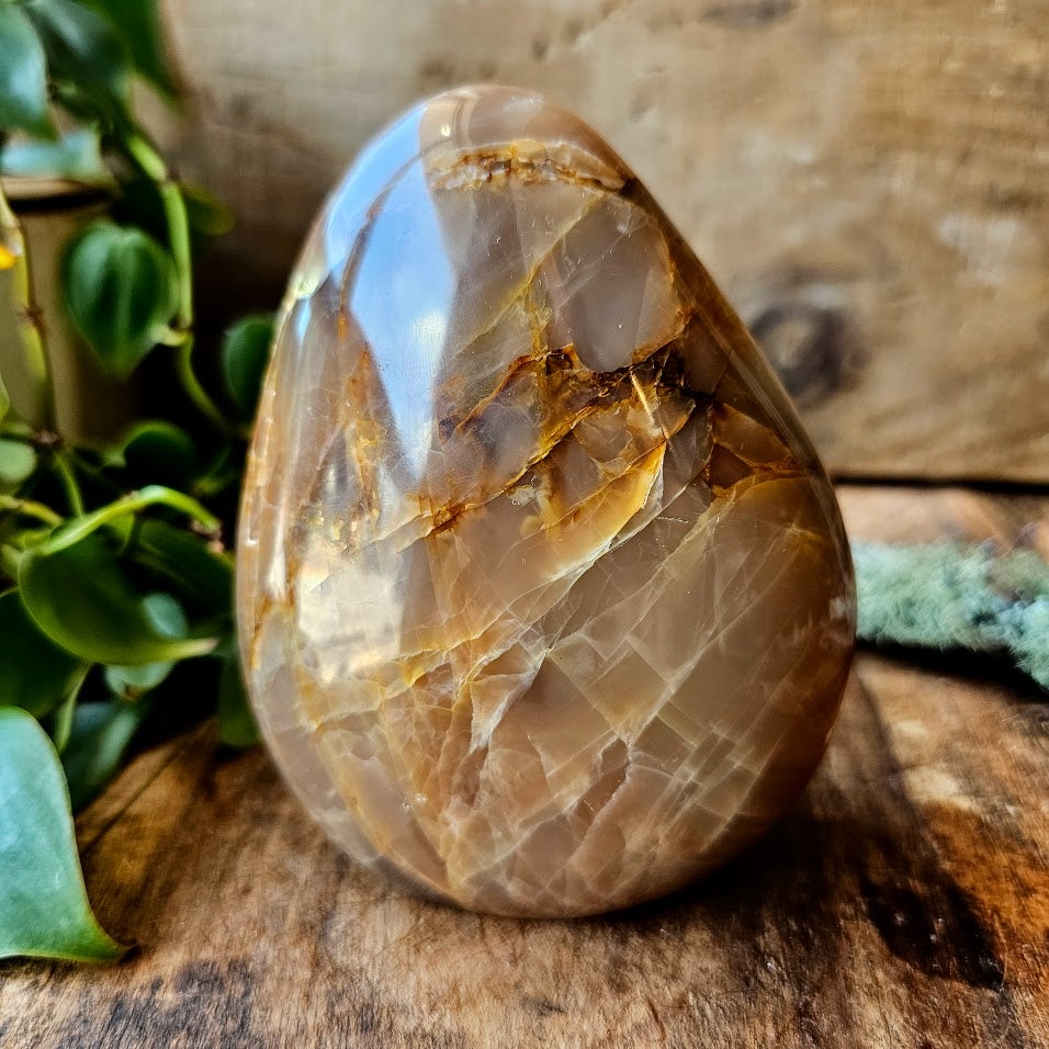 Peach Moonstone | Freeform 1.8lbs | Raven & Moon